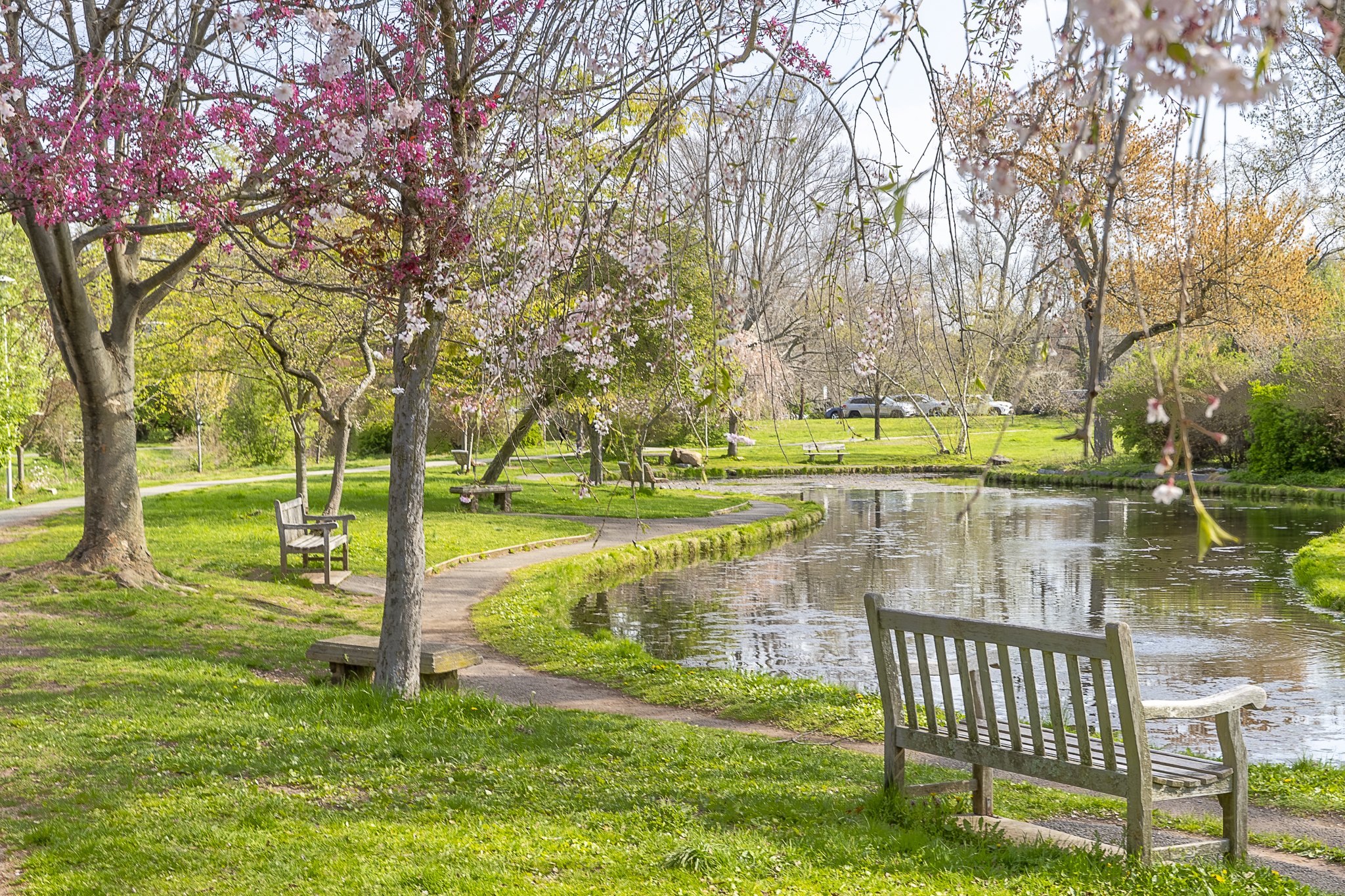 Victoria Carter | The Victoria Carter Group | NJ Real Estate
