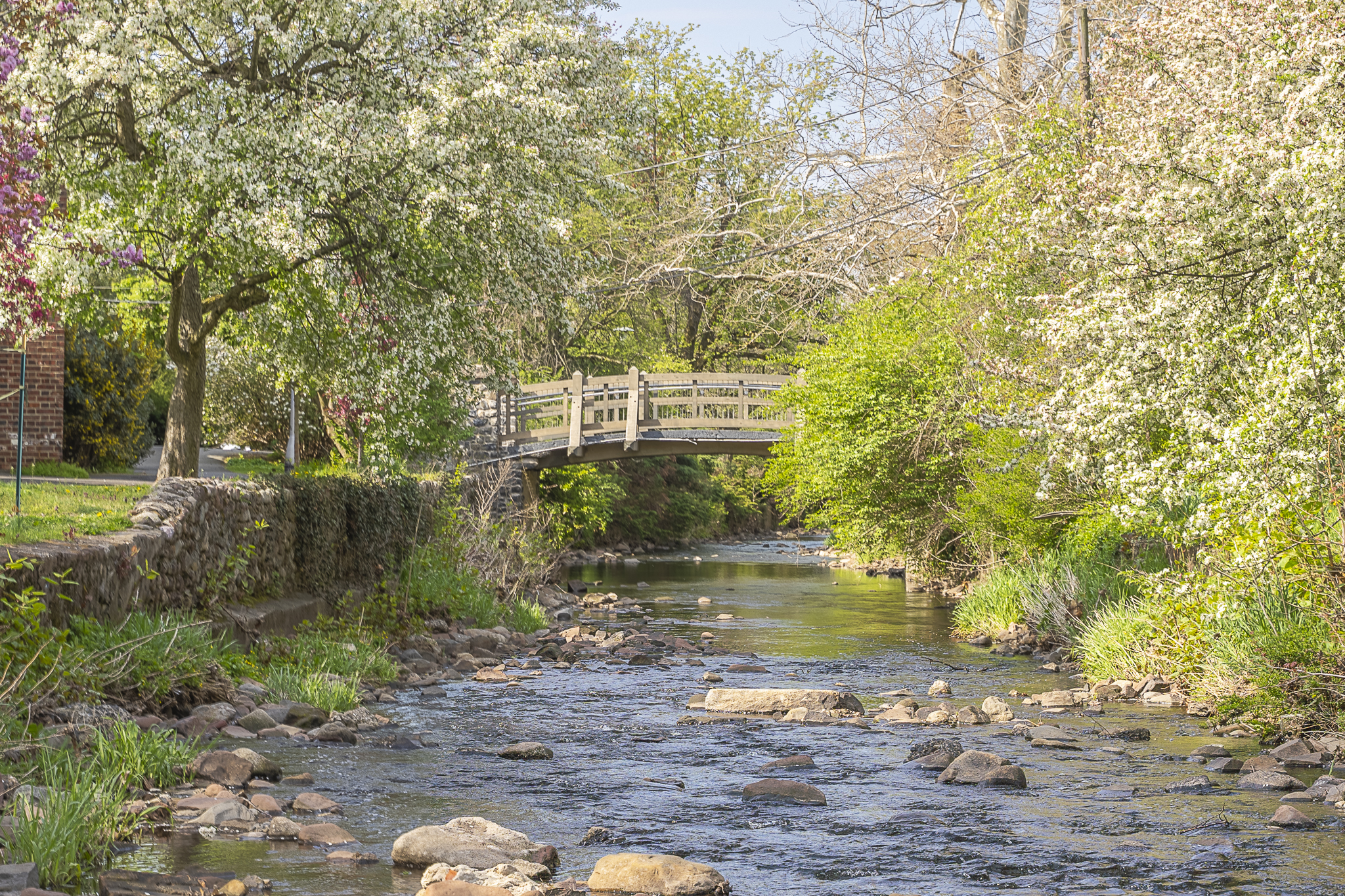 Victoria Carter | The Victoria Carter Group | NJ Real Estate