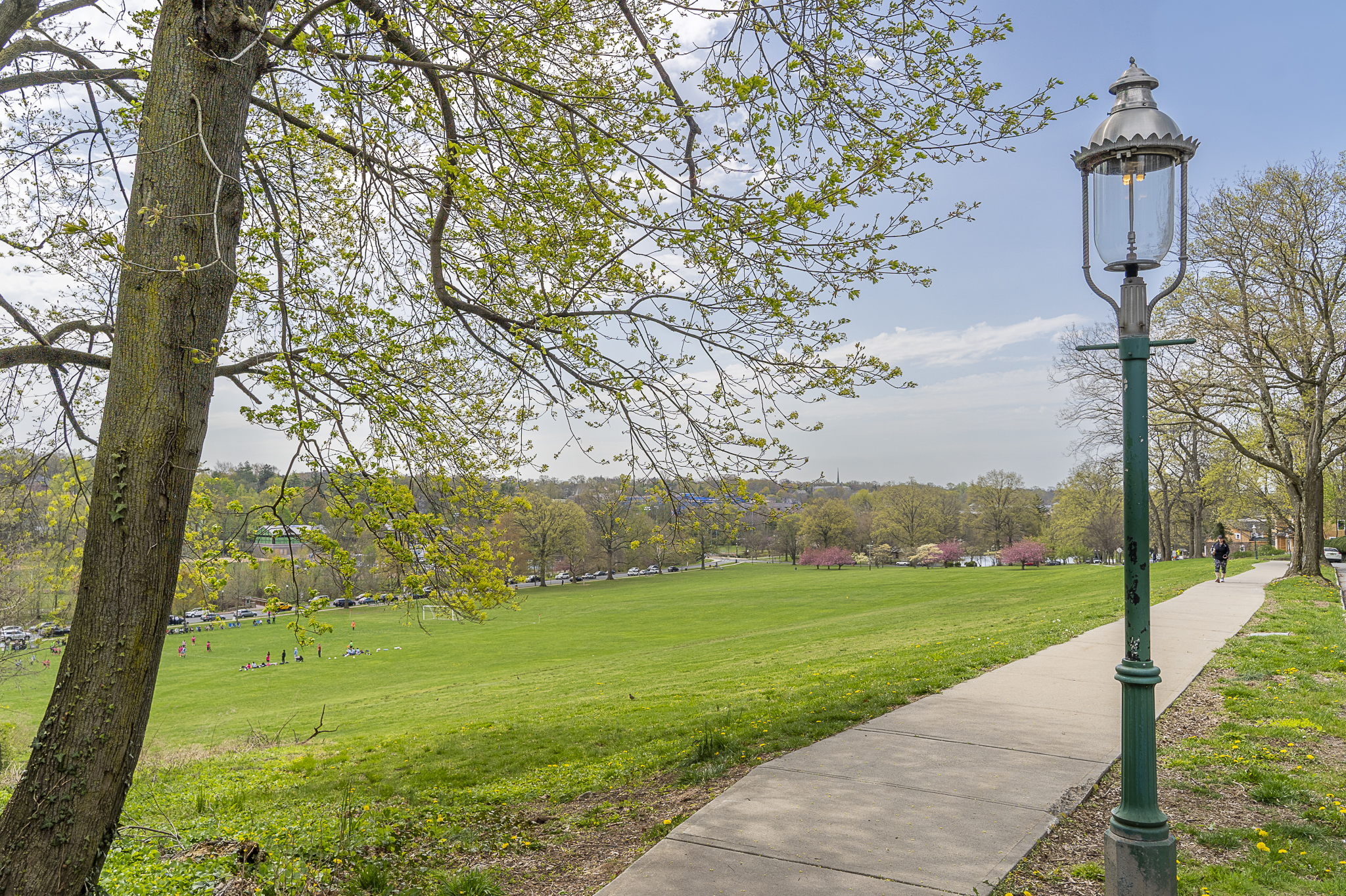 Victoria Carter | The Victoria Carter Group | NJ Real Estate